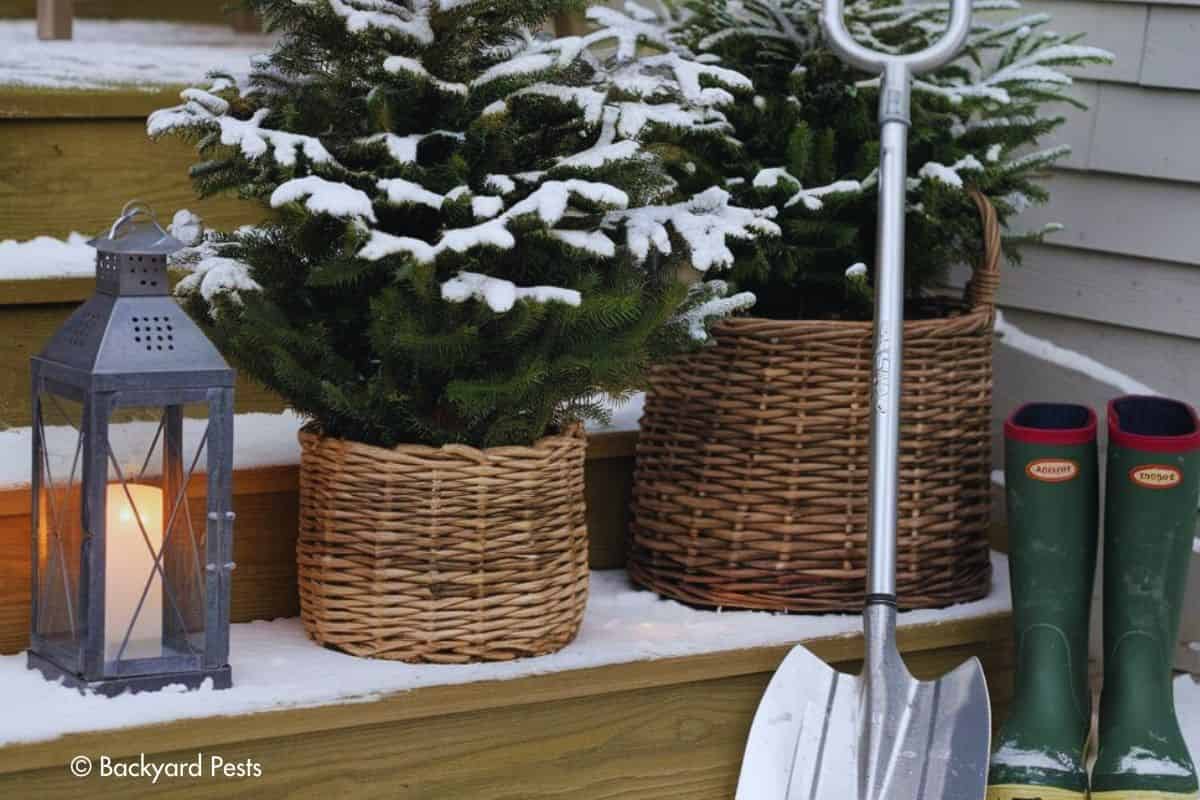 11 Essential Winter Gardening Tools You Shouldn’t Live Without ...