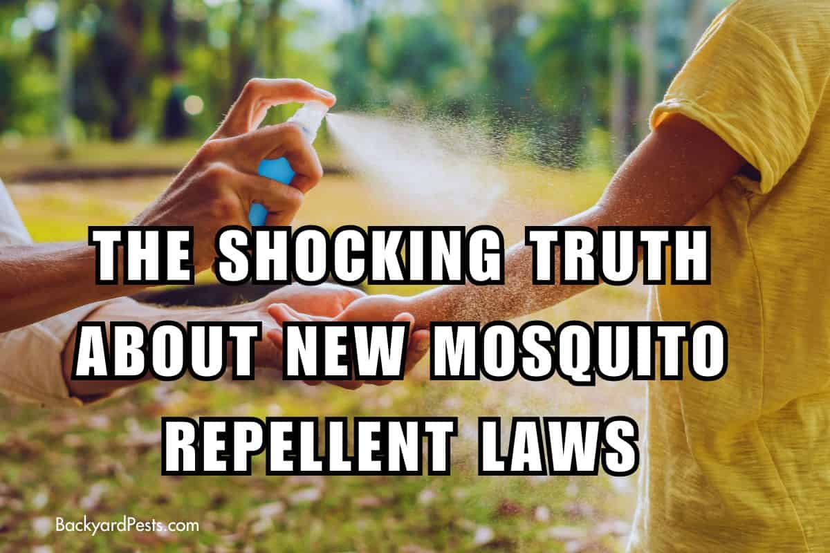 Navigating the Latest Mosquito Repellent Laws: What You Need to Know ...